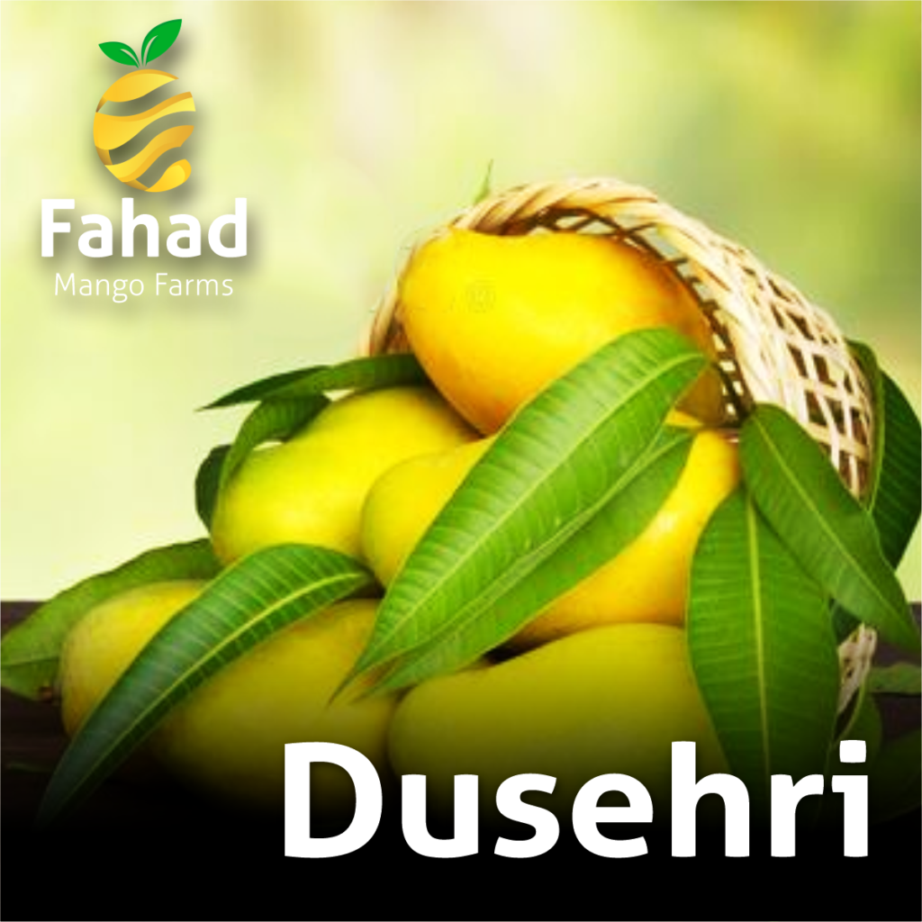 Fahad Mango Farm | Fresh Mangoes Order Onlne
