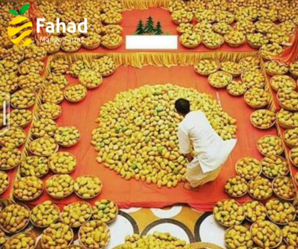 Fahad Mango Farm | Fresh Mangoes Order Onlne