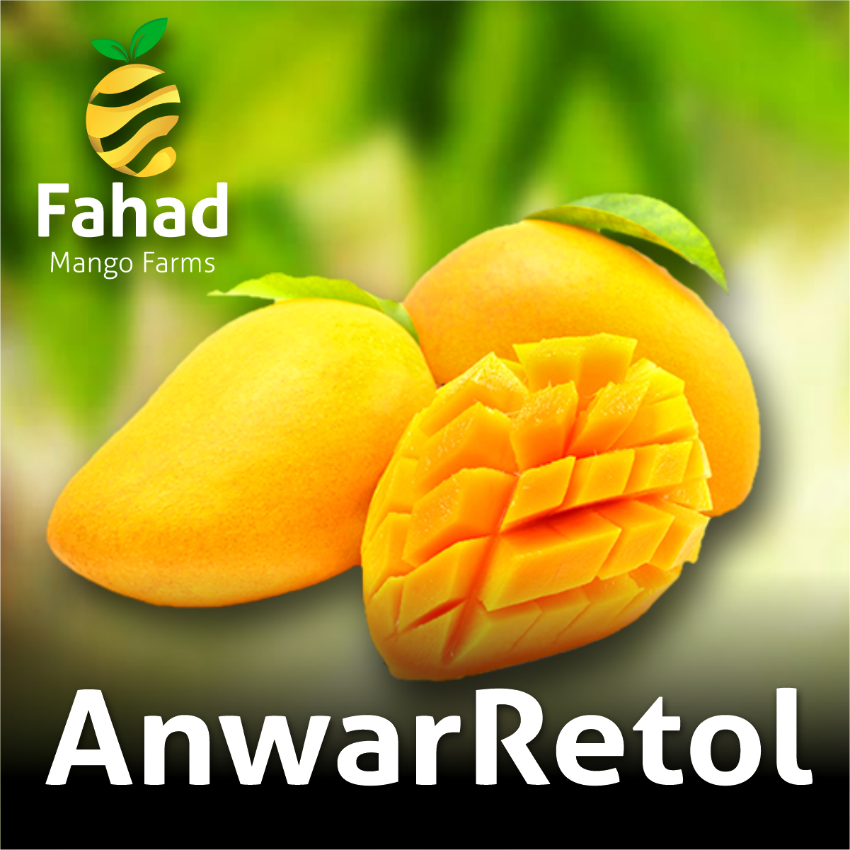 Fahad Mango Farm | Fresh Mangoes Order Onlne
