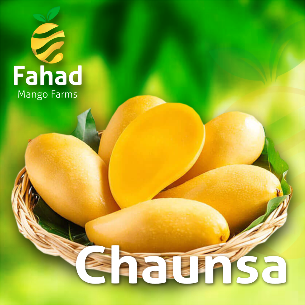 Fahad Mango Farm | Fresh Mangoes Order Onlne