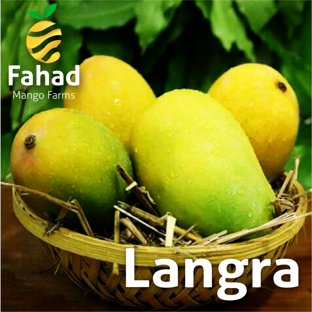 Fahad Mango Farm | Fresh Mangoes Order Onlne